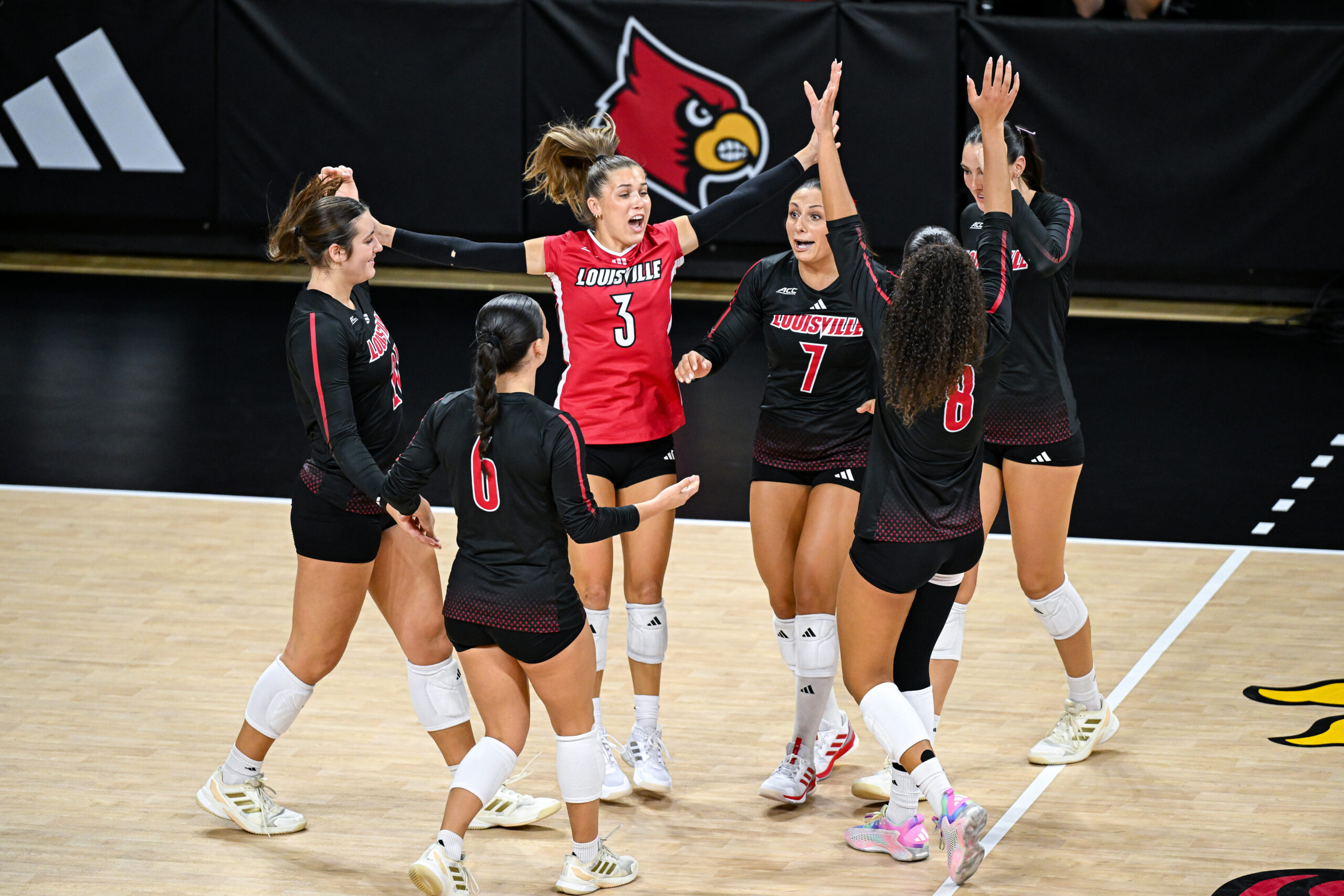Louisville volleyball separating from the pack